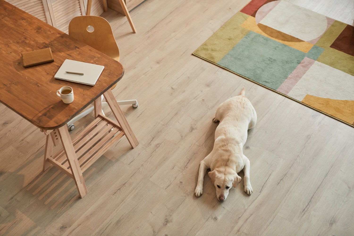 A Tips for Pet Owners: Choosing the Best Pet Friendly Flooring
